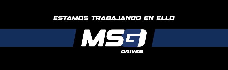 MSG Mechatronic System Group – Soluciones mecatrónicas que ayudan a ...